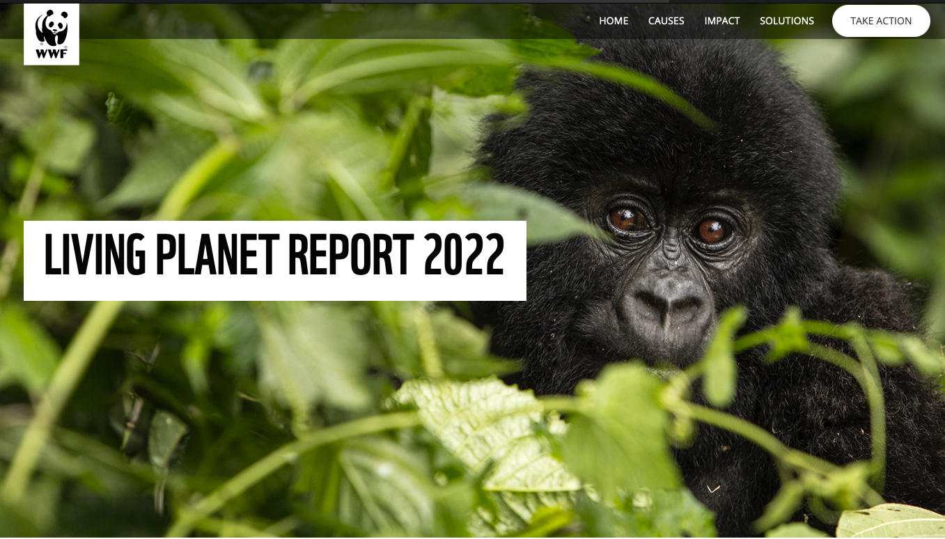 Living Planet report - Eye for the Light