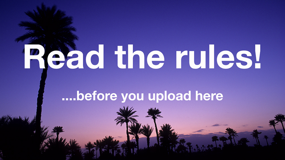 Read the rules! - Eye for the Light